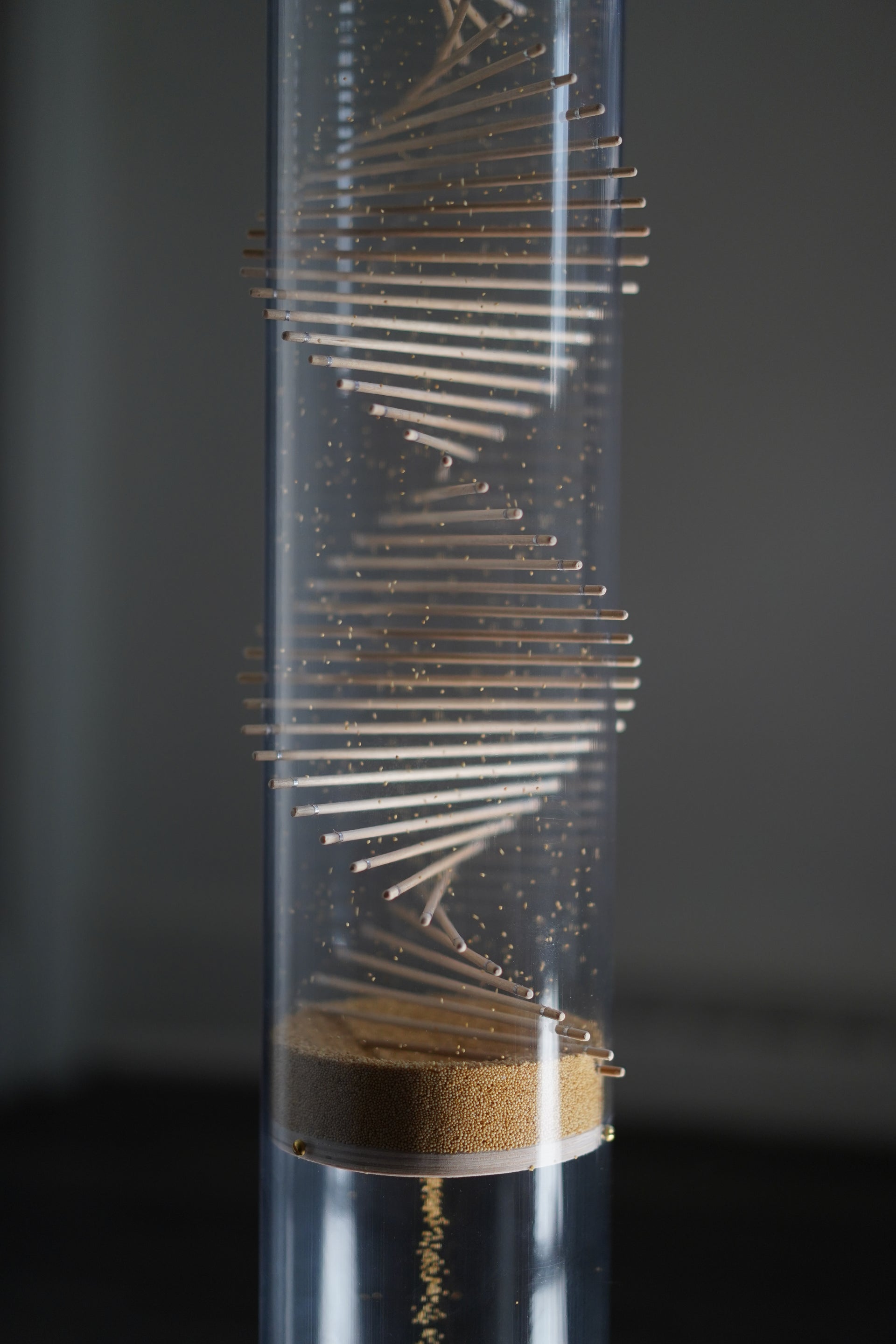 Extra Large Spiral Sounds® Rainstick – Amaranth – Gentle Sound ...