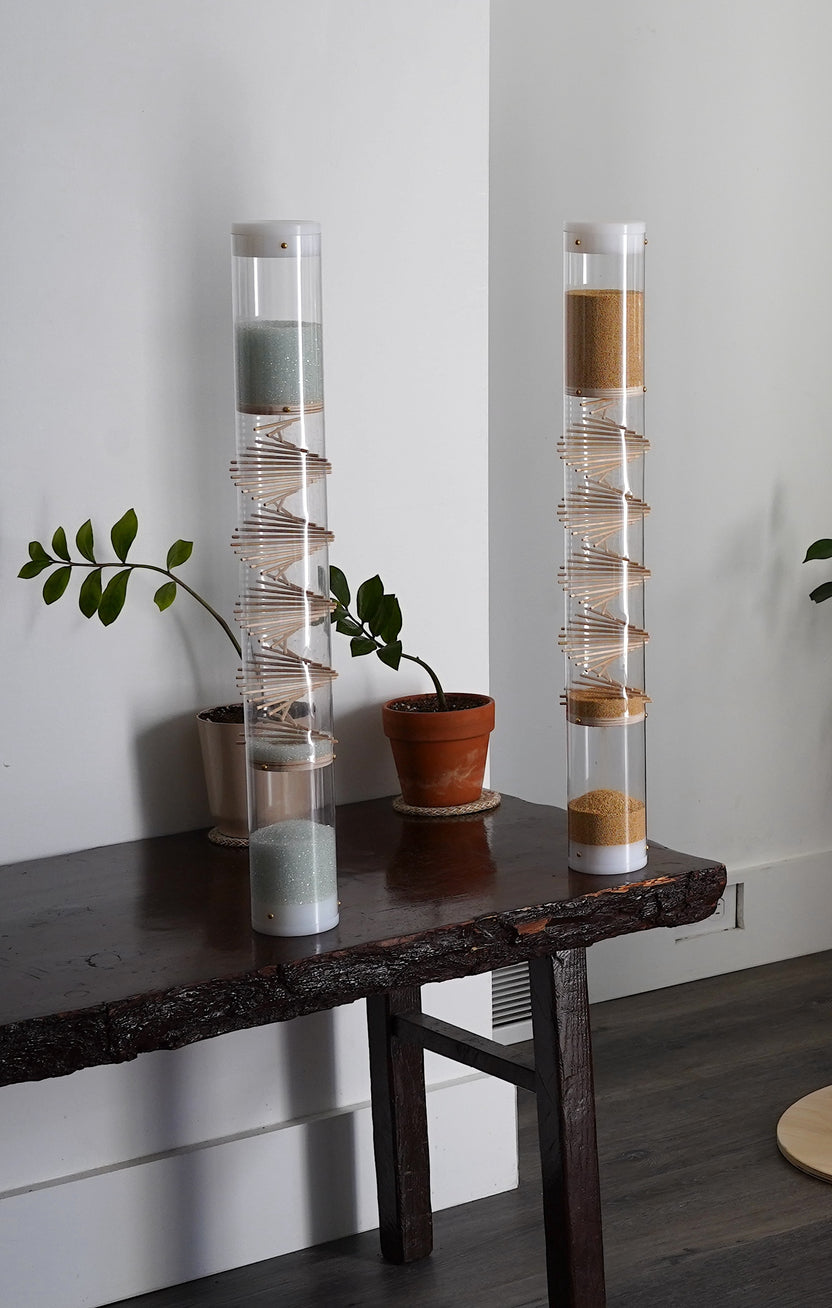 Rainstick Dreams • Home